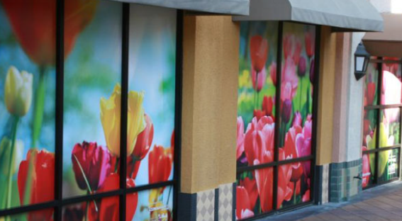 Glass and Wall Graphics, Dundalk, Co.Louth